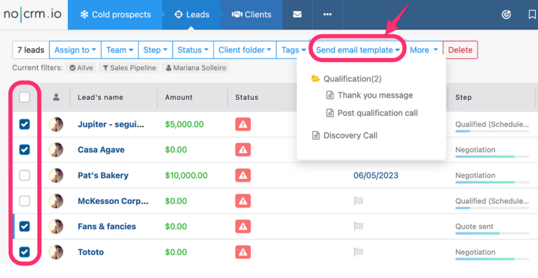 Send bulk emails to your leads and increase efficiency